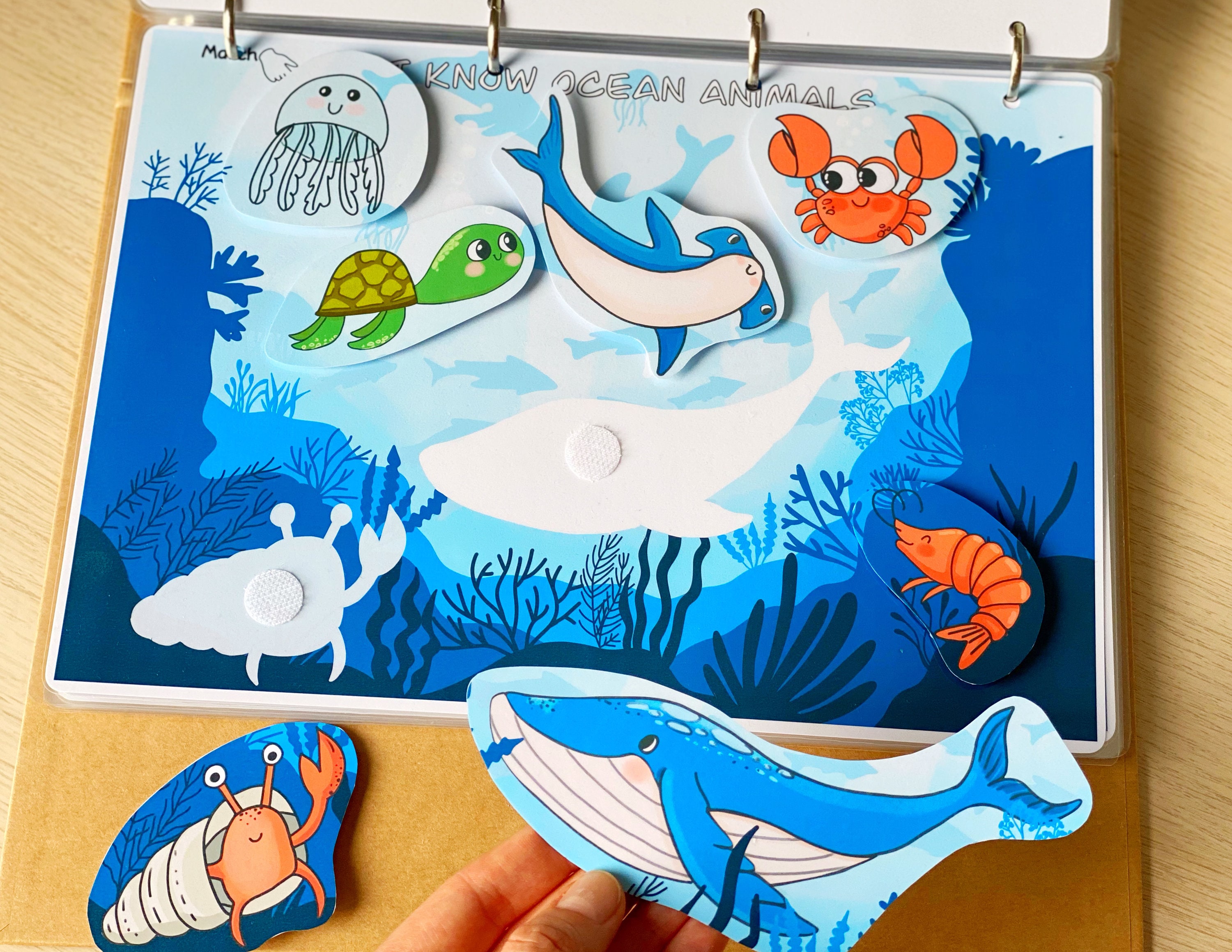 World Animals Busy Book Printable Preschool Curriculum | Etsy Canada