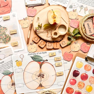 Apple Unit Study Homeschool Fall Printables Charlotte Mason Preschool ...