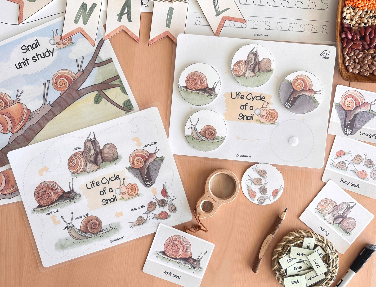 Snail Unit Study Charlotte Mason Spring Printable Worksheets Preschool ...