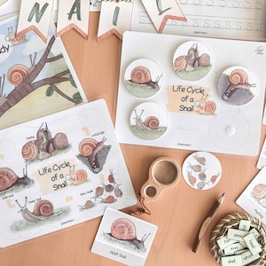 Snail Unit Study Charlotte Mason Spring Printable Worksheets Preschool ...