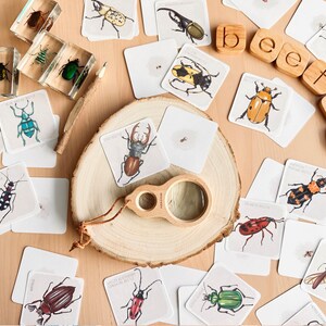 Beetles Study Activity Magnifying Glass Matching Game Homeschool ...