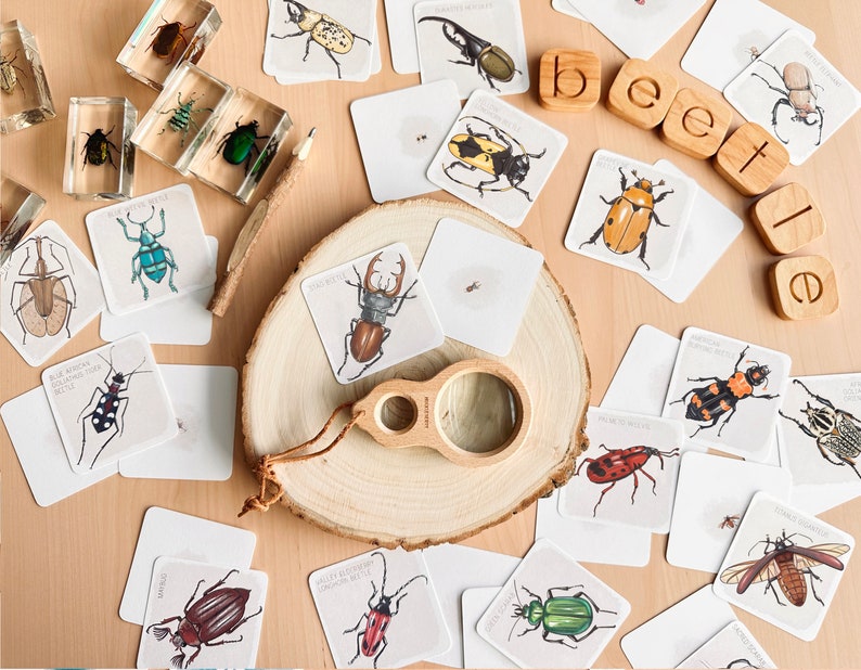 Beetles Study Activity Magnifying Glass Matching Game - Etsy