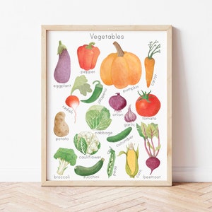 Watercolor Fruit and Vegetable Prints Classroom Educational Posters ...