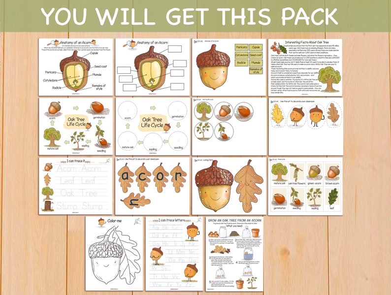 Oak Tree Unit Study Bundle Charlotte Mason Nature Study - Etsy