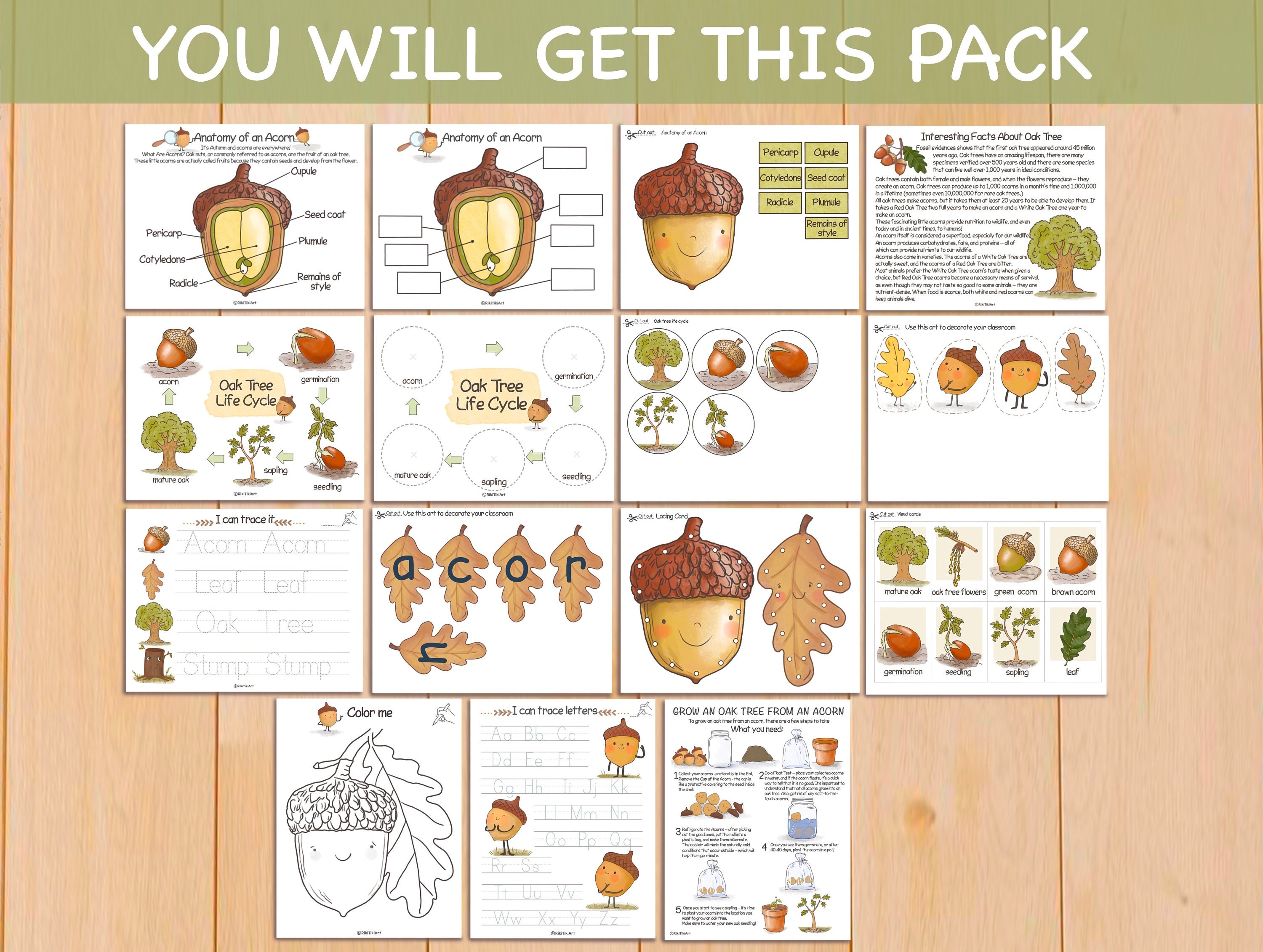 Oak Tree Unit Study Bundle Charlotte Mason Nature Study Anatomy of an ...