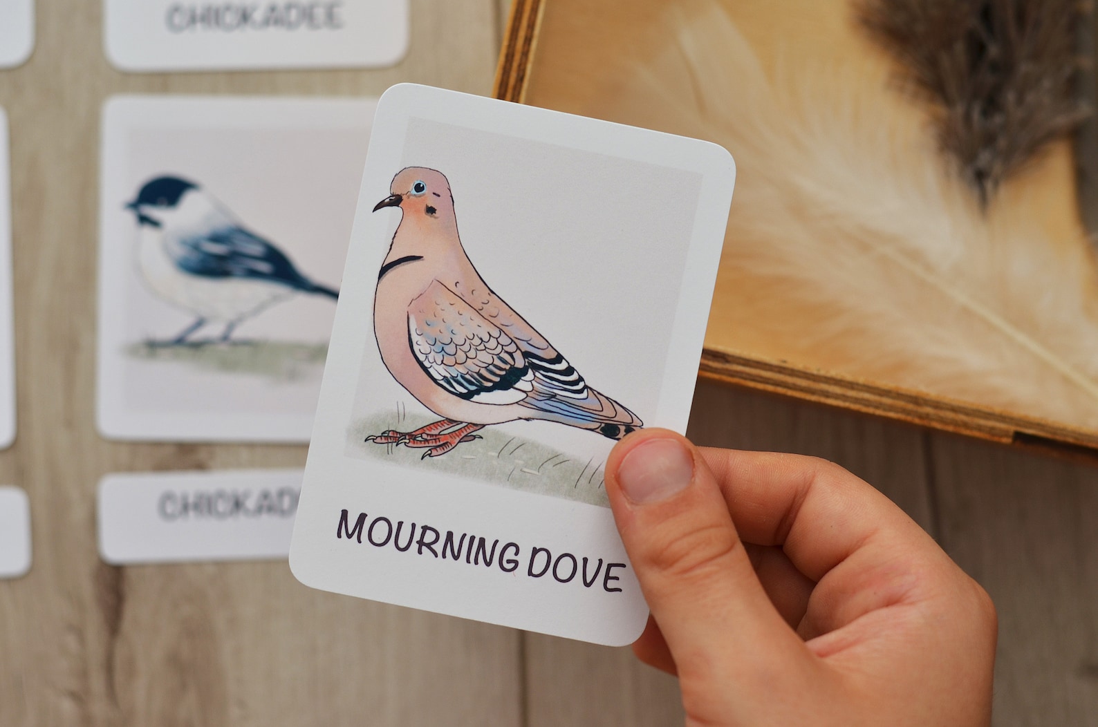 Toddler Flash Cards Backyard Birds Printable Flashcards - Etsy