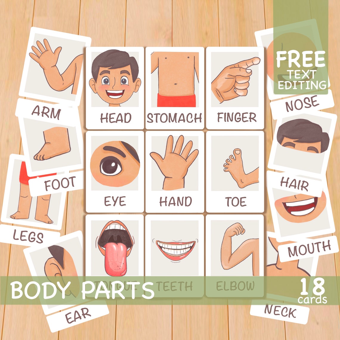Toddler Flash Cards Body Parts Flashcards Homeschool - Etsy