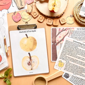 Apple Unit Study Homeschool Fall Printables Charlotte Mason Preschool ...