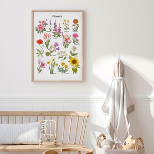 Flowers Poster Homeschool Educational Posters Classroom Playroom ...