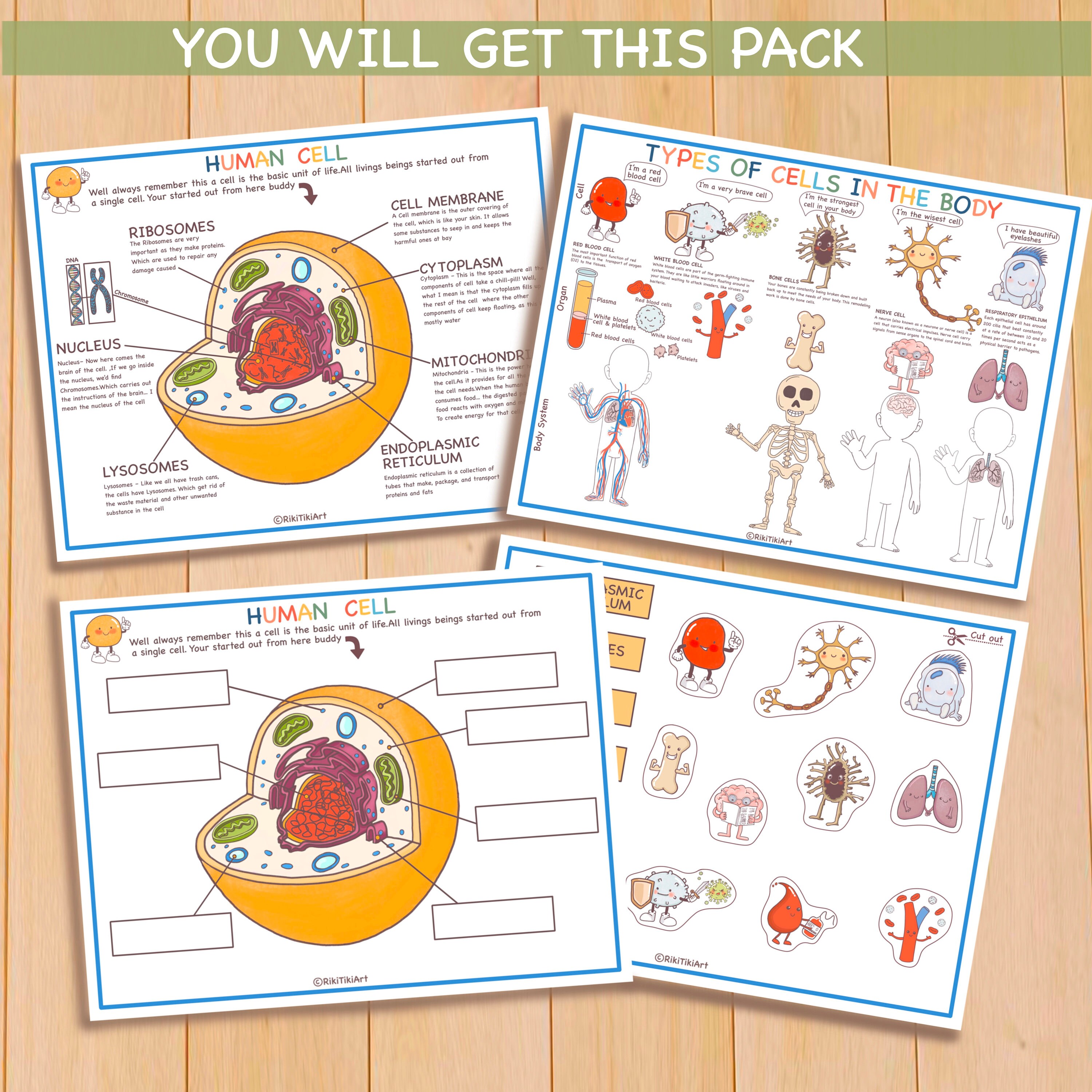 Hyman Body Cell Preschool Activities Printable Homeschool | Etsy