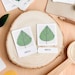 Leaves Flash Cards Leaf Identification Montessori Education Homeschool ...