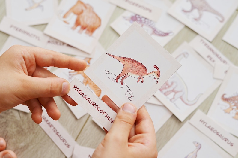 Dinosaur Flashcards, Printable Montessori Materials, Homeschool ...