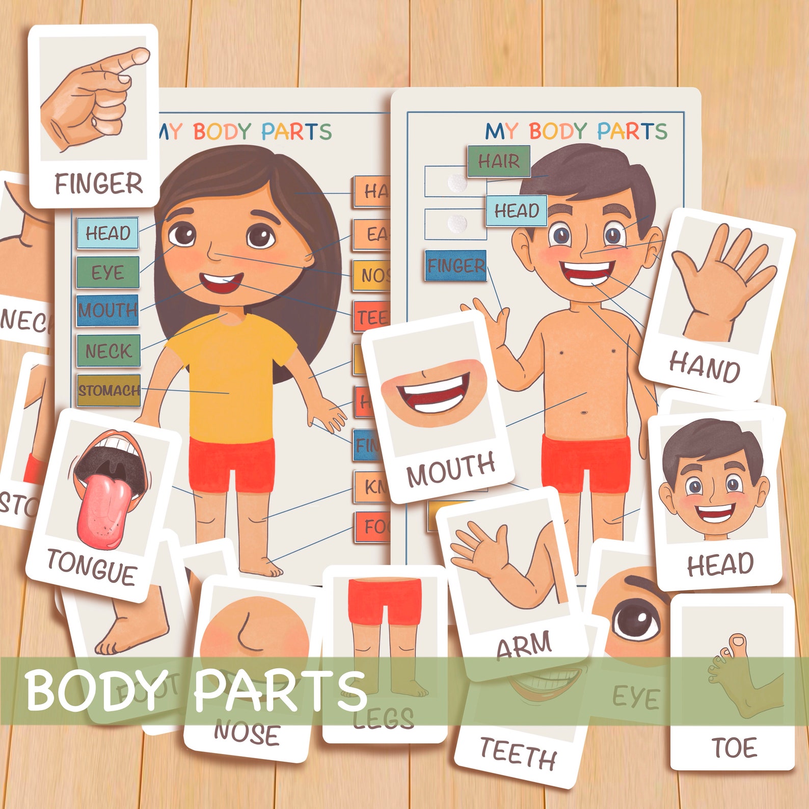 Body Parts Busy Bundle, Printable Montessori Materials Educational ...