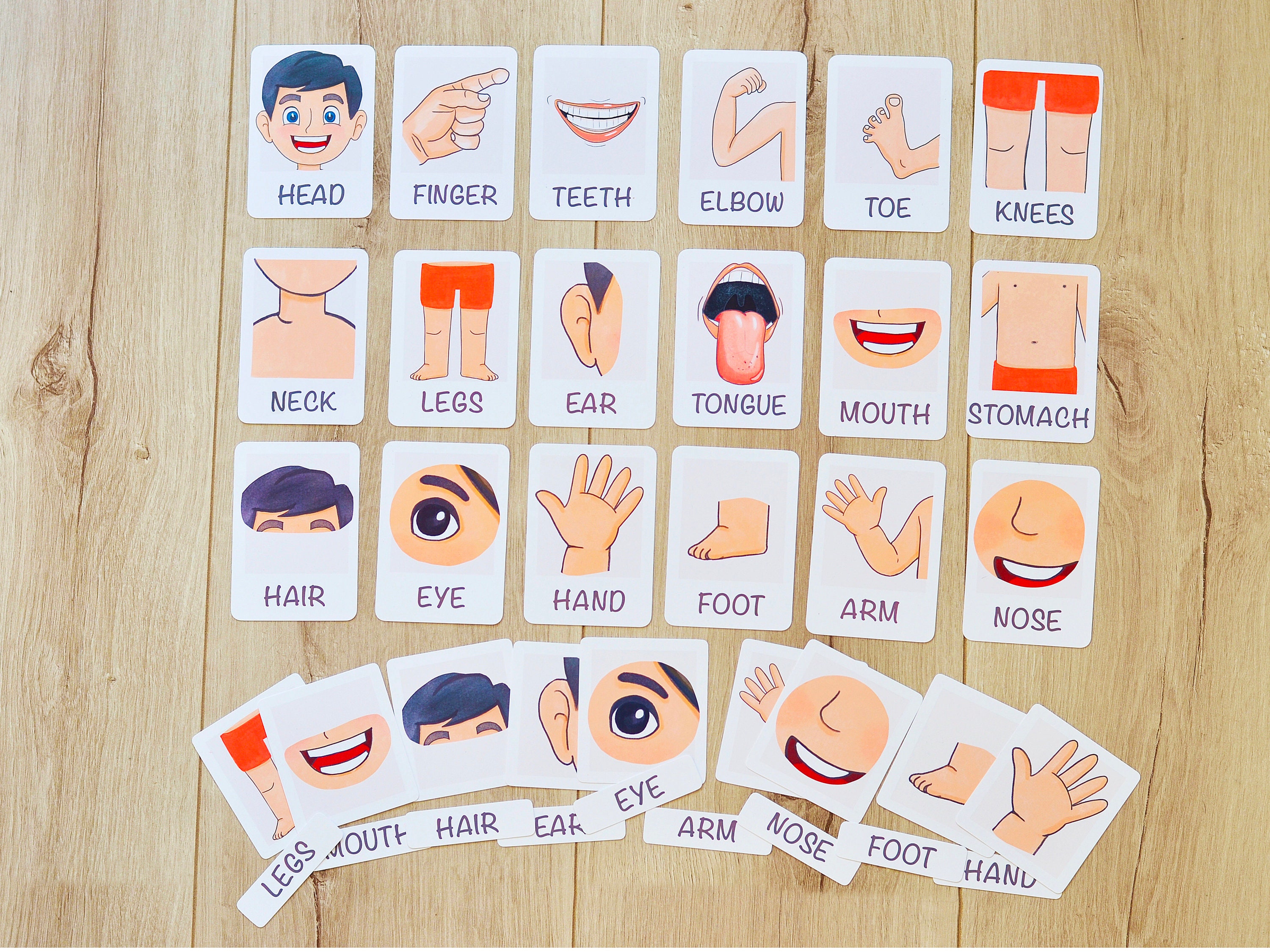 Parts Of The Body Flashcards For The Super Simple Learning