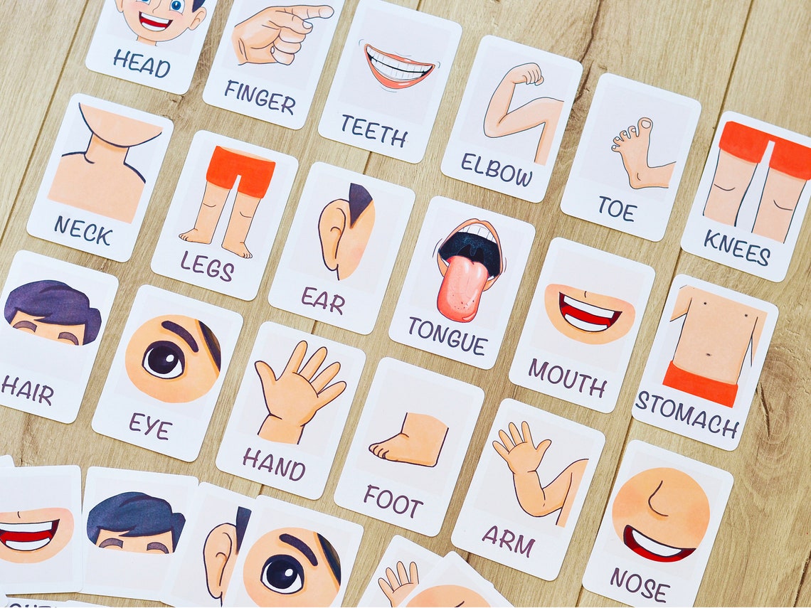 Toddler Flash Cards Body Parts Flashcards Homeschool - Etsy
