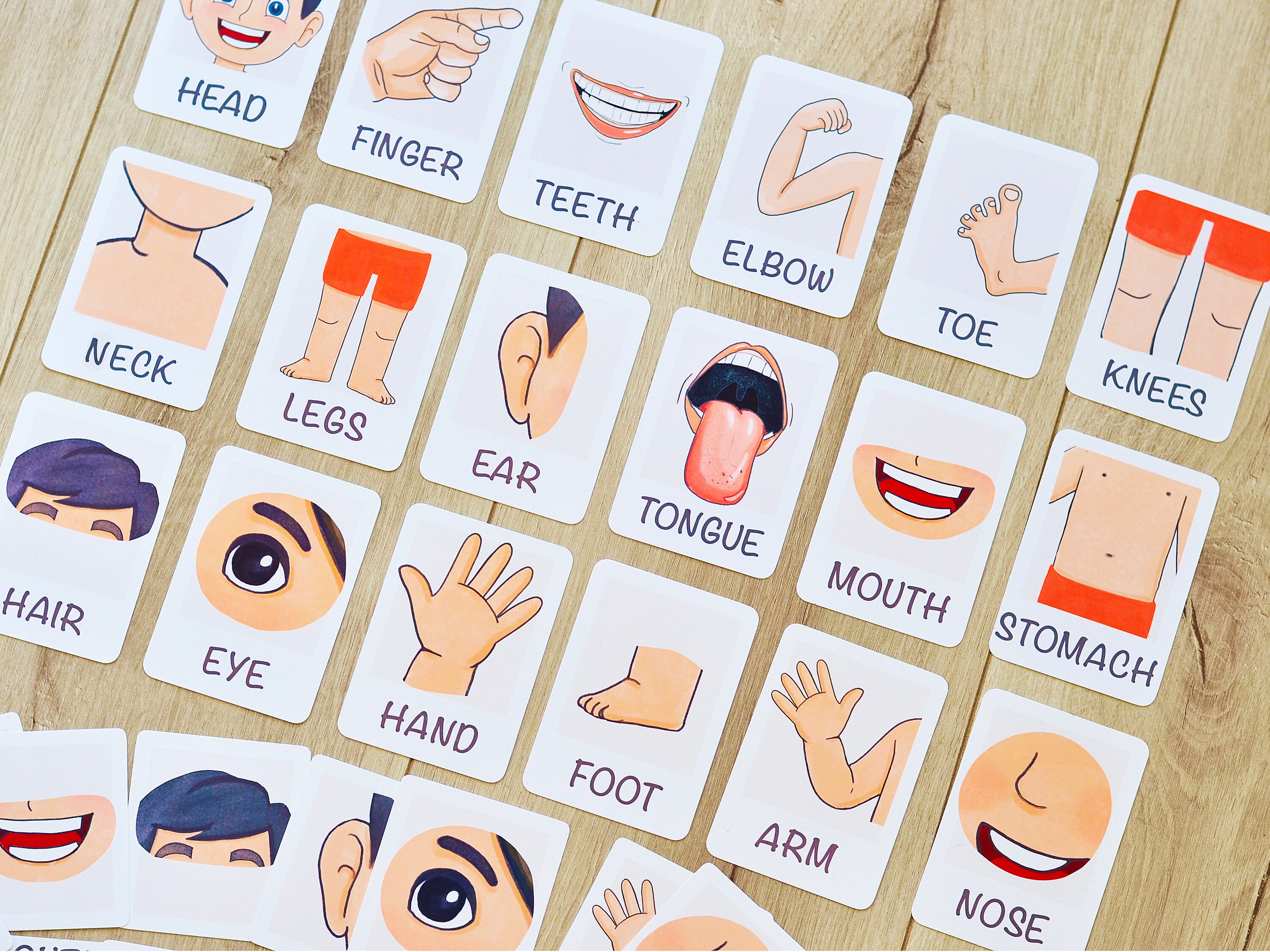 Toddler Flash Cards, Body Parts Flashcards, Homeschool Montessori ...