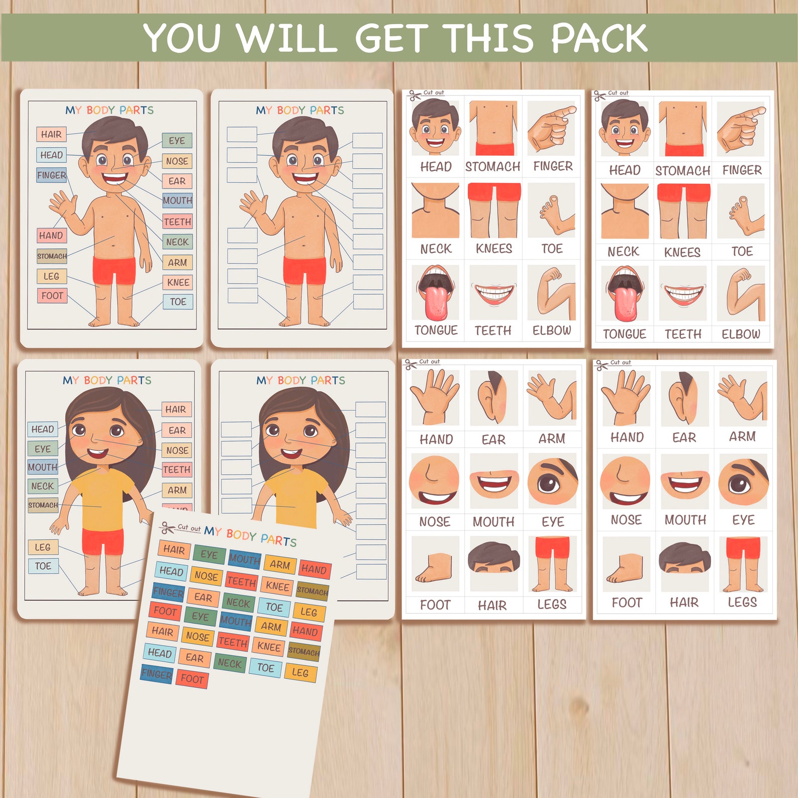 Body Parts Busy Bundle, Printable Montessori Materials - Educational ...