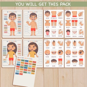 Body Parts Busy Bundle, Printable Montessori Materials - Educational ...