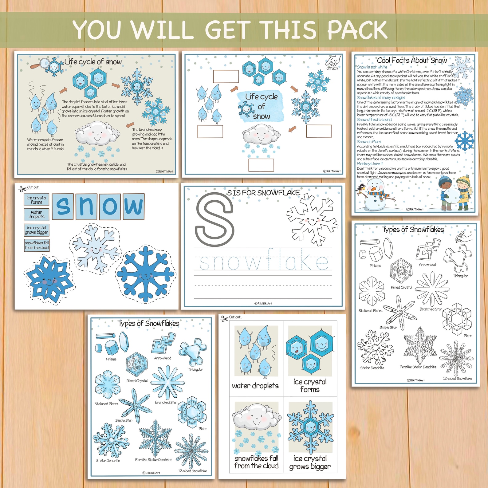 Snow Unit Study Snowflakes Printable Resources Homeschool - Etsy