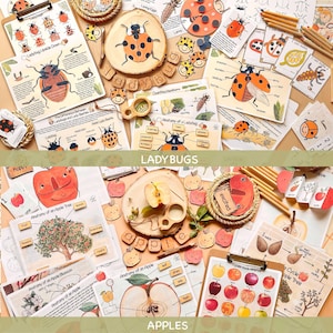 27 Unit Studies MEGA BUNDLE Homeschool Printable Charlotte Mason ...