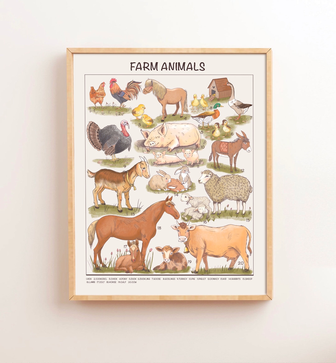 Farm Animals Educational Posters, Homeschool Classroom Preschool ...