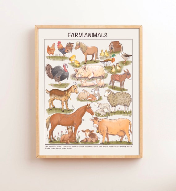 Farm Animals Educational Posters Homeschool Classroom | Etsy