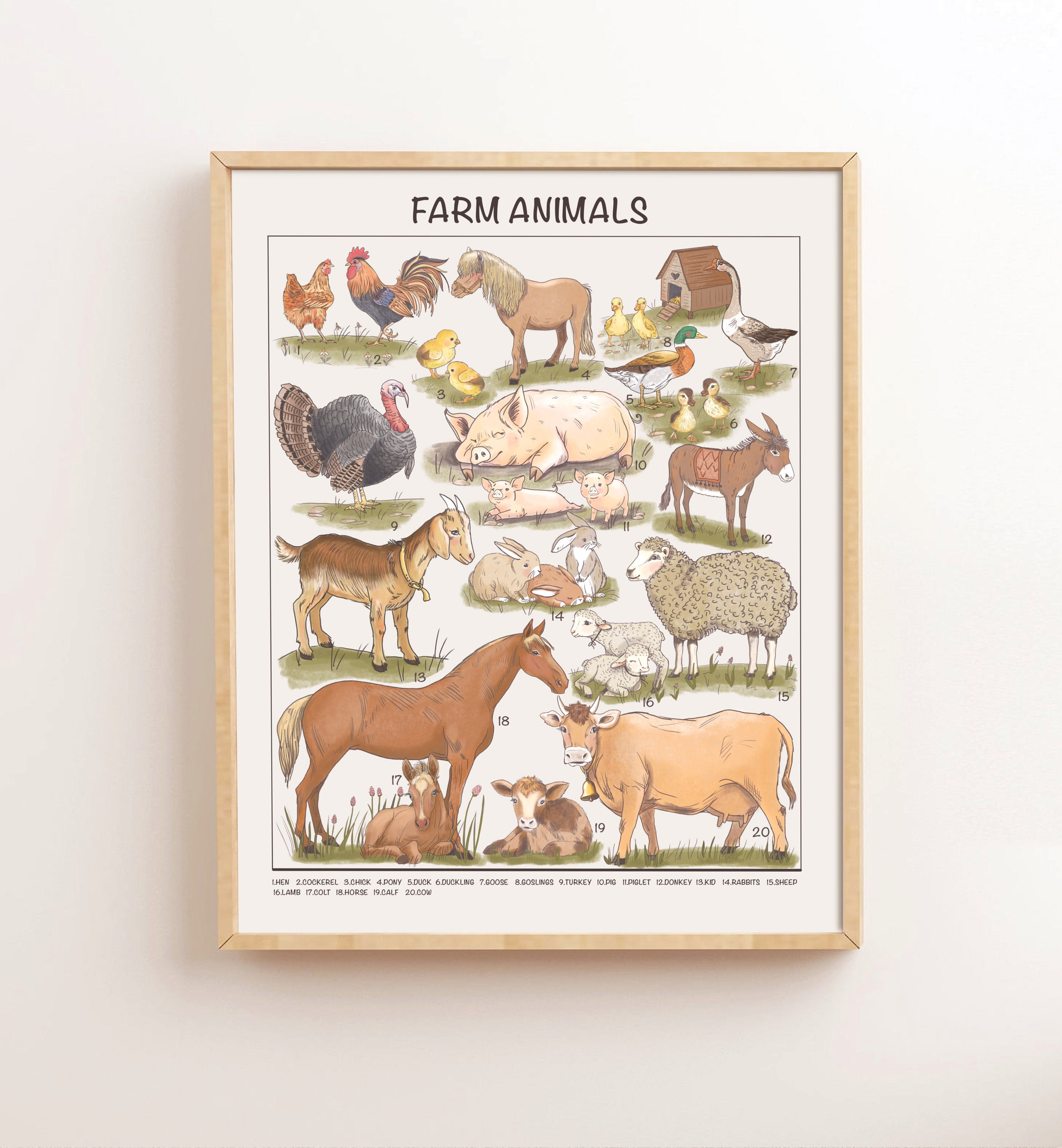 Farm Animals Educational Posters Homeschool Classroom | Etsy