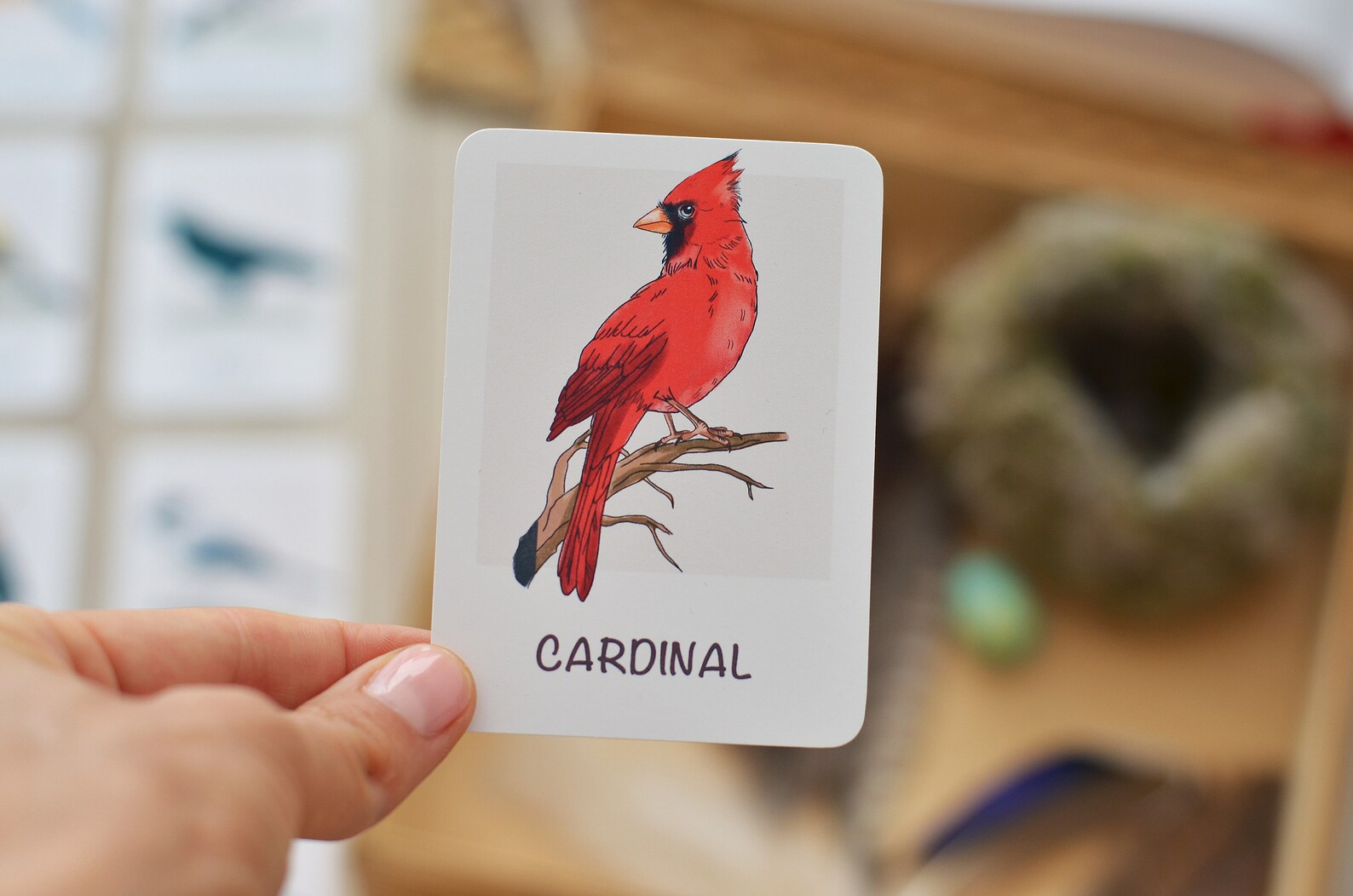 Toddler Flash Cards Backyard Birds Printable Flashcards - Etsy