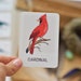 Toddler Flash Cards, Backyard Birds Printable Flashcards, Homeschool ...