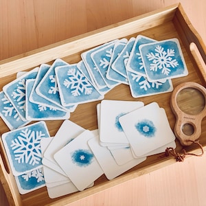 Snowflakes Study Activity Christmas Activities for Kids Montessori ...