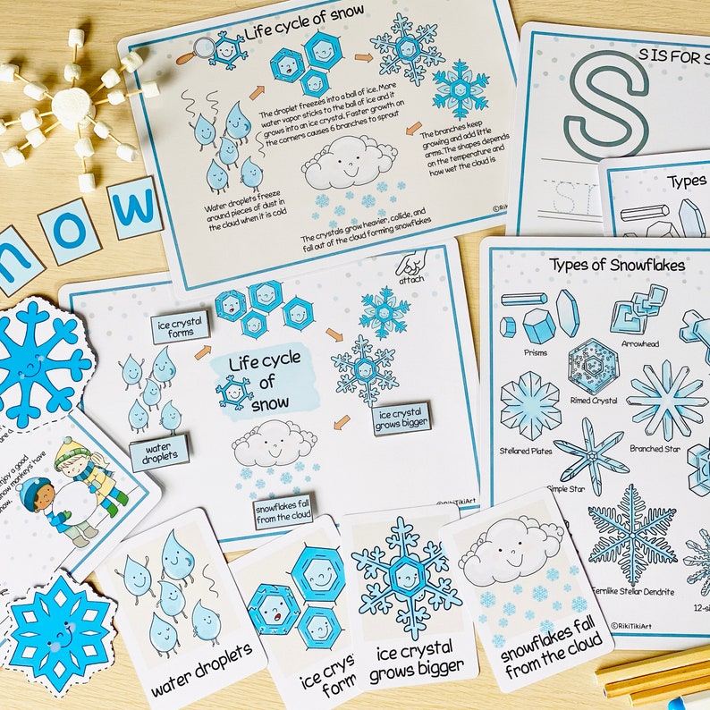 Snow Unit Study Snowflakes Printable Resources Homeschool | Etsy
