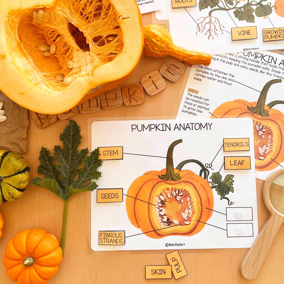 Pumpkin Unit Study Homeschool Preschool Charlotte Mason Fall Learning ...