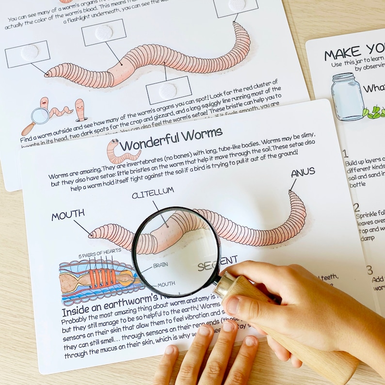 Worms Unit Study Charlotte Mason Printable Resources - Etsy