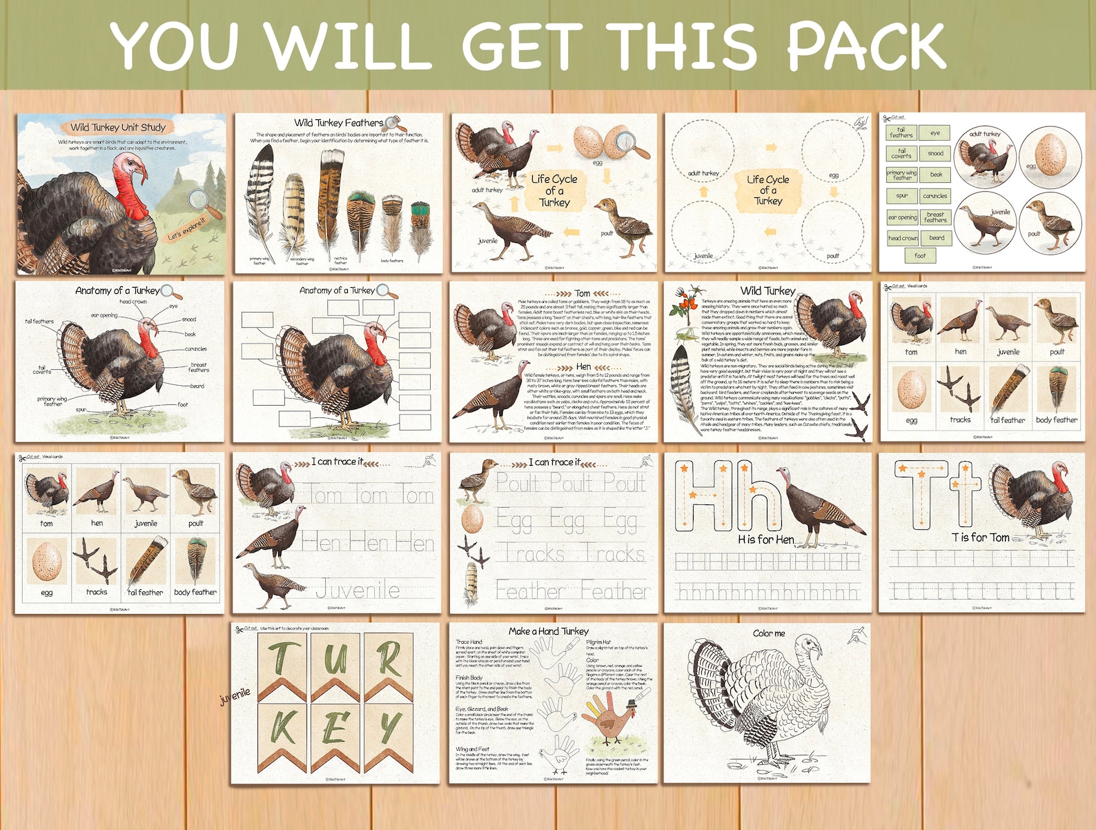 Turkey Unit Study Fall Homeschool Learning Materials Charlotte - Etsy