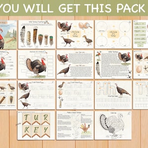 Turkey Unit Study Fall Homeschool Learning Materials Charlotte Mason ...