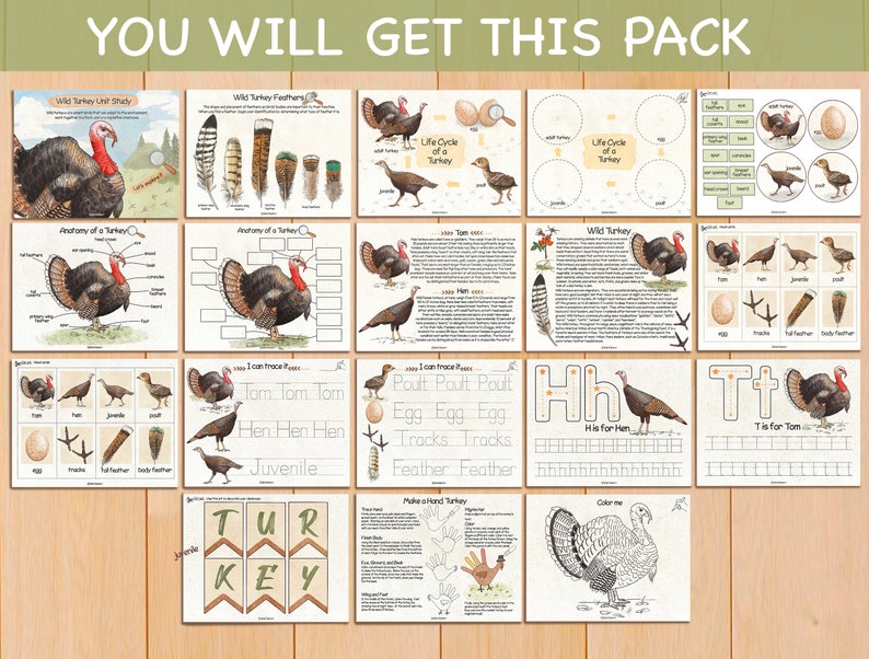 Turkey Unit Study Fall Homeschool Learning Materials Charlotte Mason ...