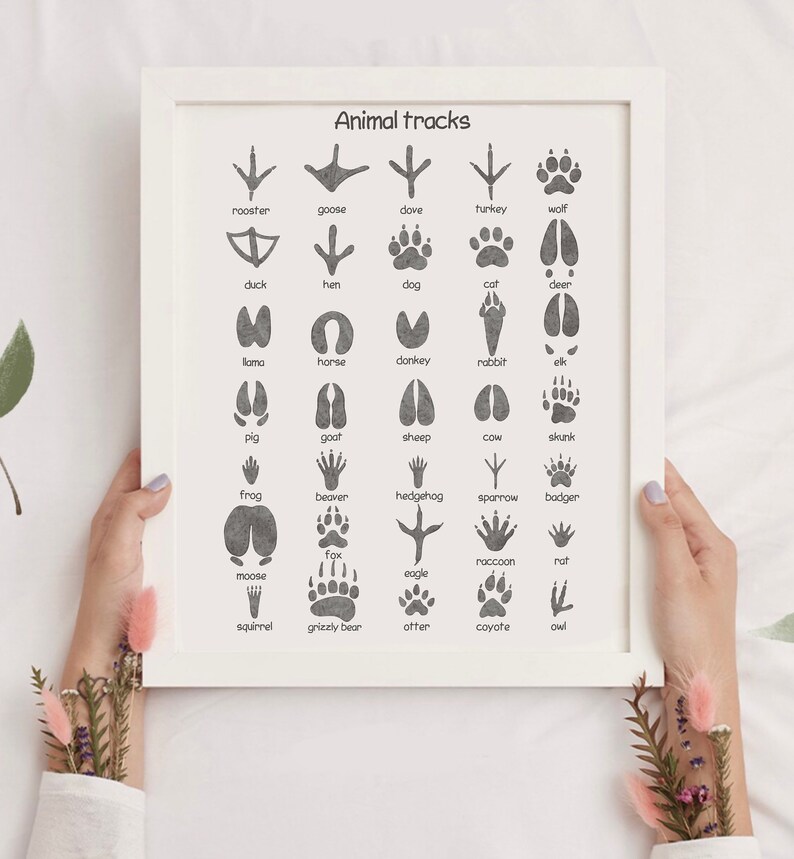 Animal Tracks Print Woodland Nursery Decor Rustic Outdoor | Etsy
