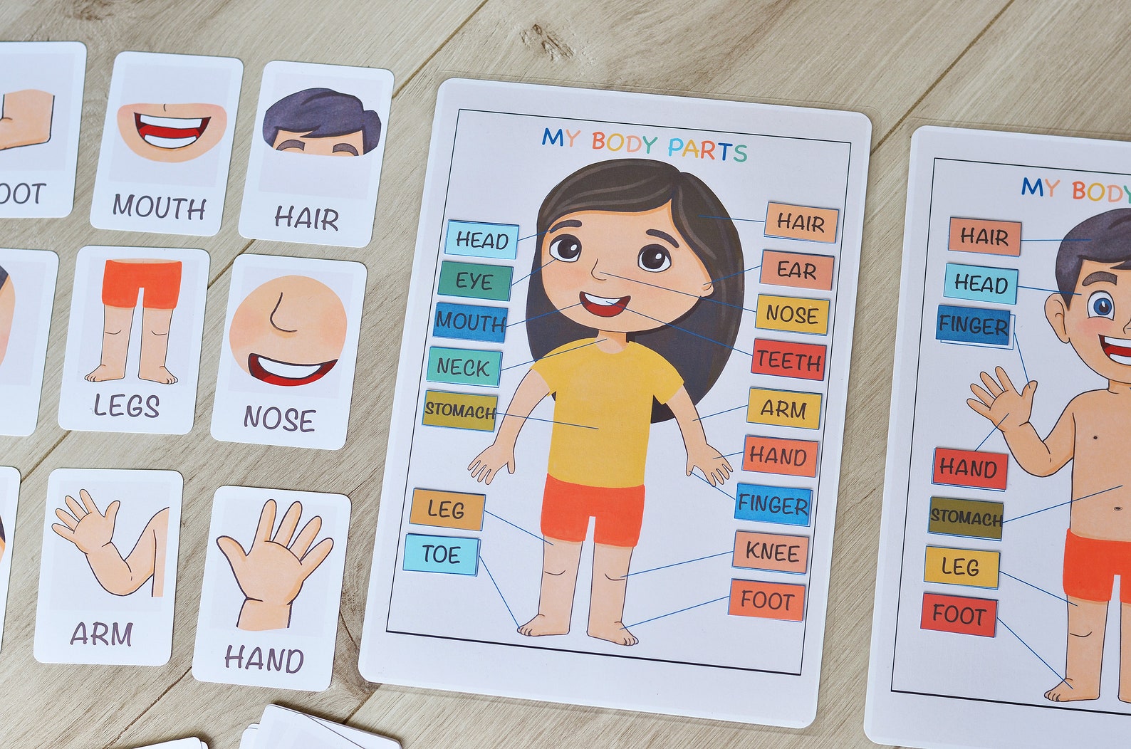 Body Parts Busy Bundle, Printable Montessori Materials Educational ...