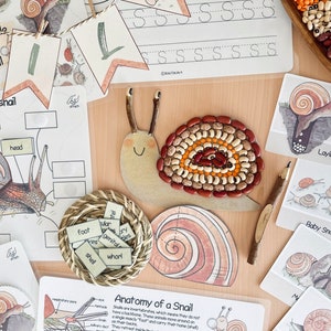 Snail Unit Study Charlotte Mason Spring Printable Worksheets Preschool ...