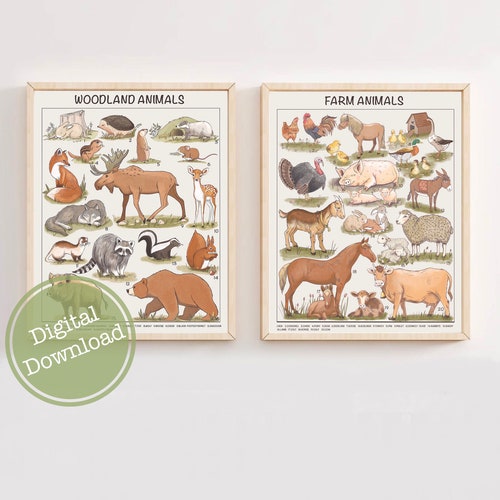 Set of 6 Prints Educational Classroom Posters Pastel - Etsy Canada