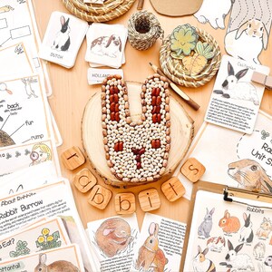 Rabbit Unit Study Homeschool Printables Easter Bunny Spring Learning ...