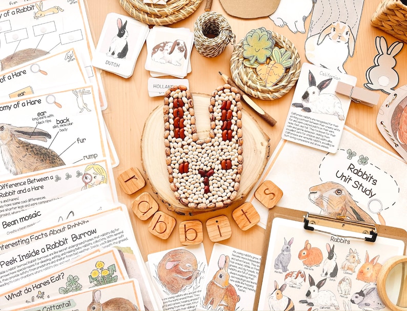Rabbit Unit Study Homeschool Printables Easter Bunny Spring Learning ...