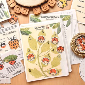 Ladybug Unit Study Homeschool Spring Printables Charlotte Mason ...