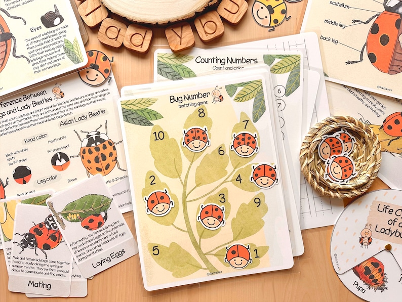 Ladybug Unit Study Homeschool Spring Printables Charlotte Mason ...