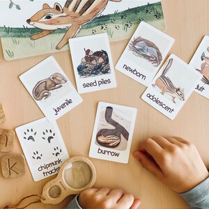 Chipmunk Unit Study Bundle Fall Homeschool Printables Charlotte Mason ...