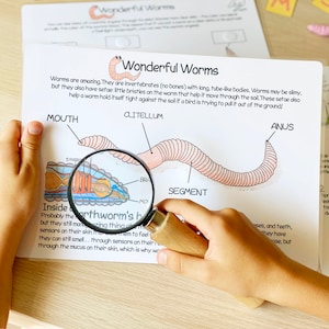 Worms Unit Study Charlotte Mason Printable Resources Homeschool ...