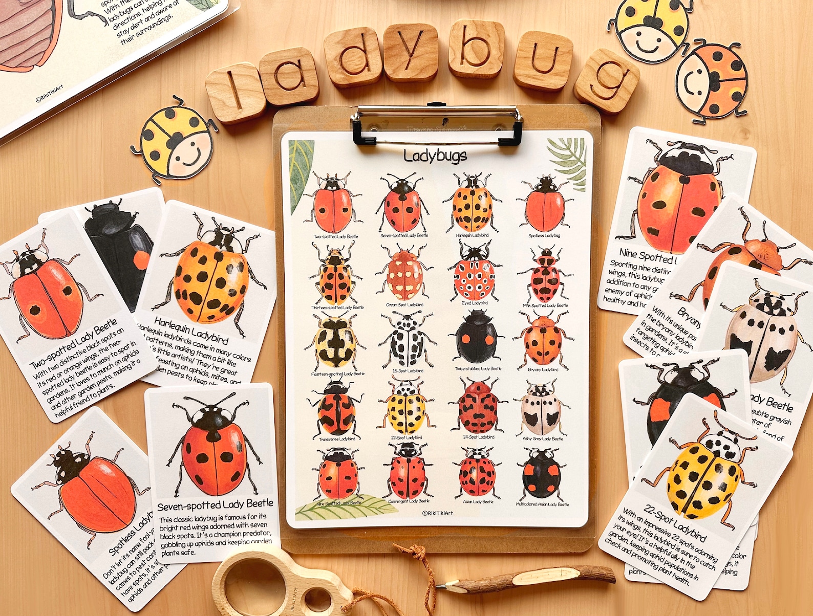 Ladybug Unit Study Homeschool Spring Printables Charlotte Mason ...