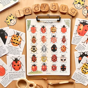 Ladybug Unit Study Homeschool Spring Printables Charlotte Mason ...