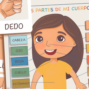 Spanish Body Parts Printable Montessori Materials, Human Anatomy ...
