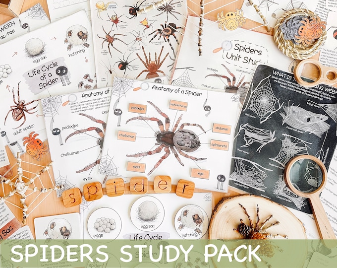 DESERT ANIMALS • 24 Editable Montessori Cards • Flash Cards ...